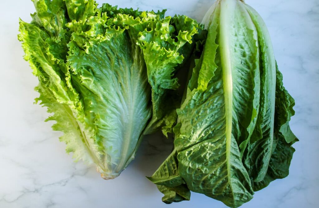 Lettuce Salad - The Honour System